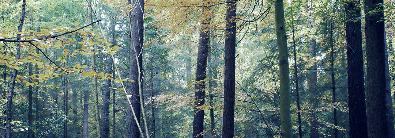 Land Rover | Official Land Rover Shop UK